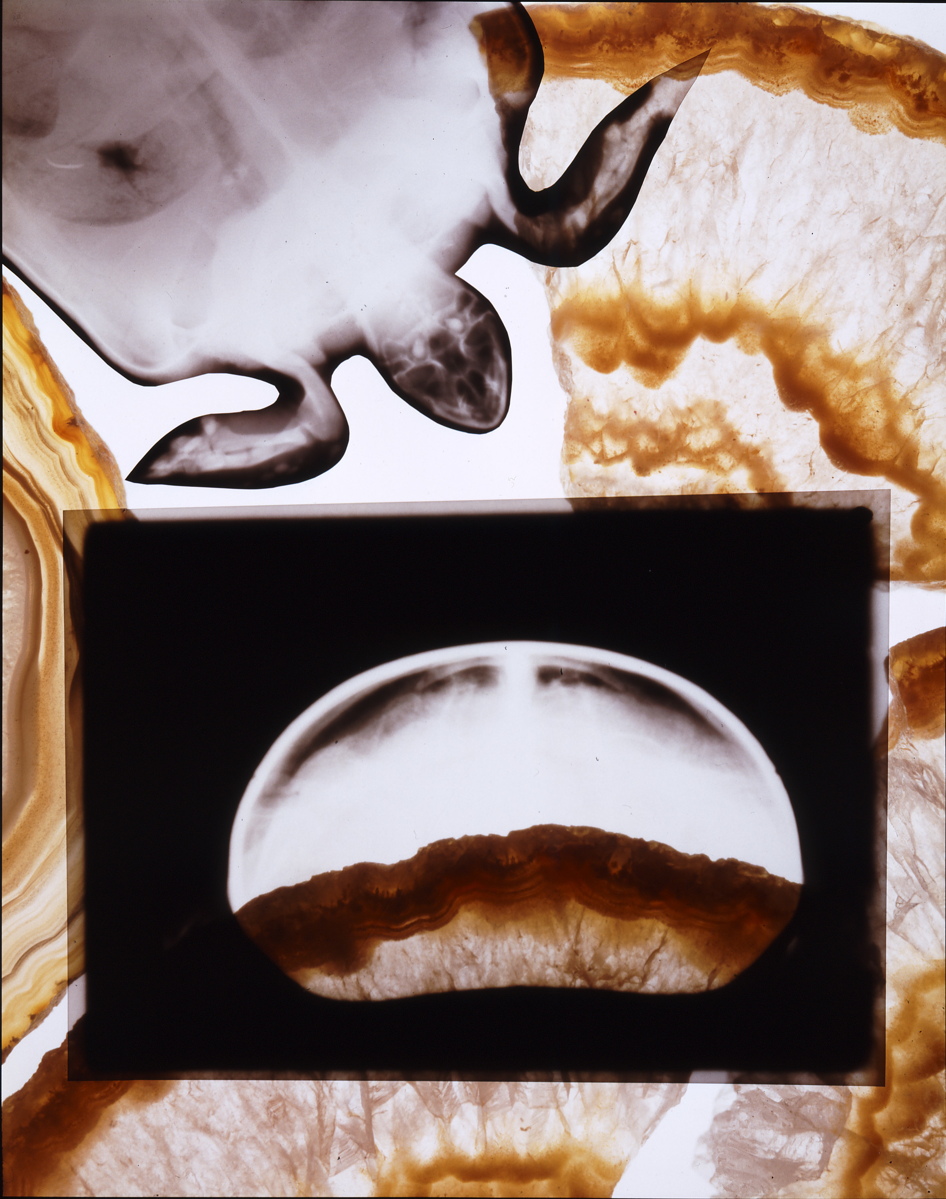 Slow Art Day Conversation | National Museum of Women in the Arts