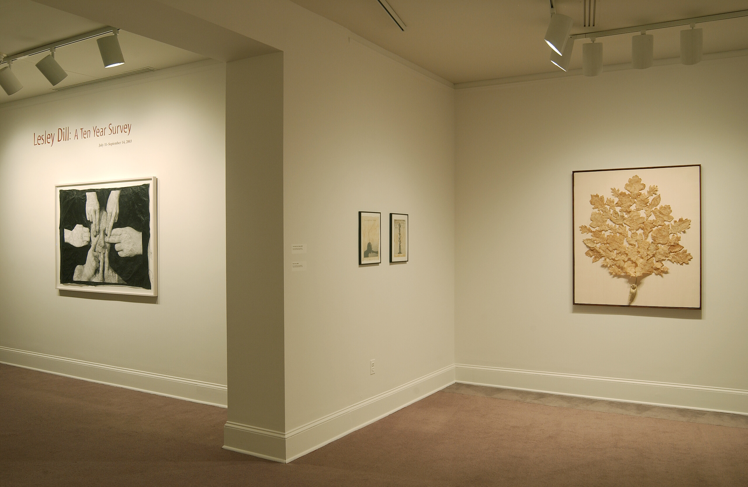 Lesley Dill: A Ten Year Survey | Exhibition | National Museum of Women ...