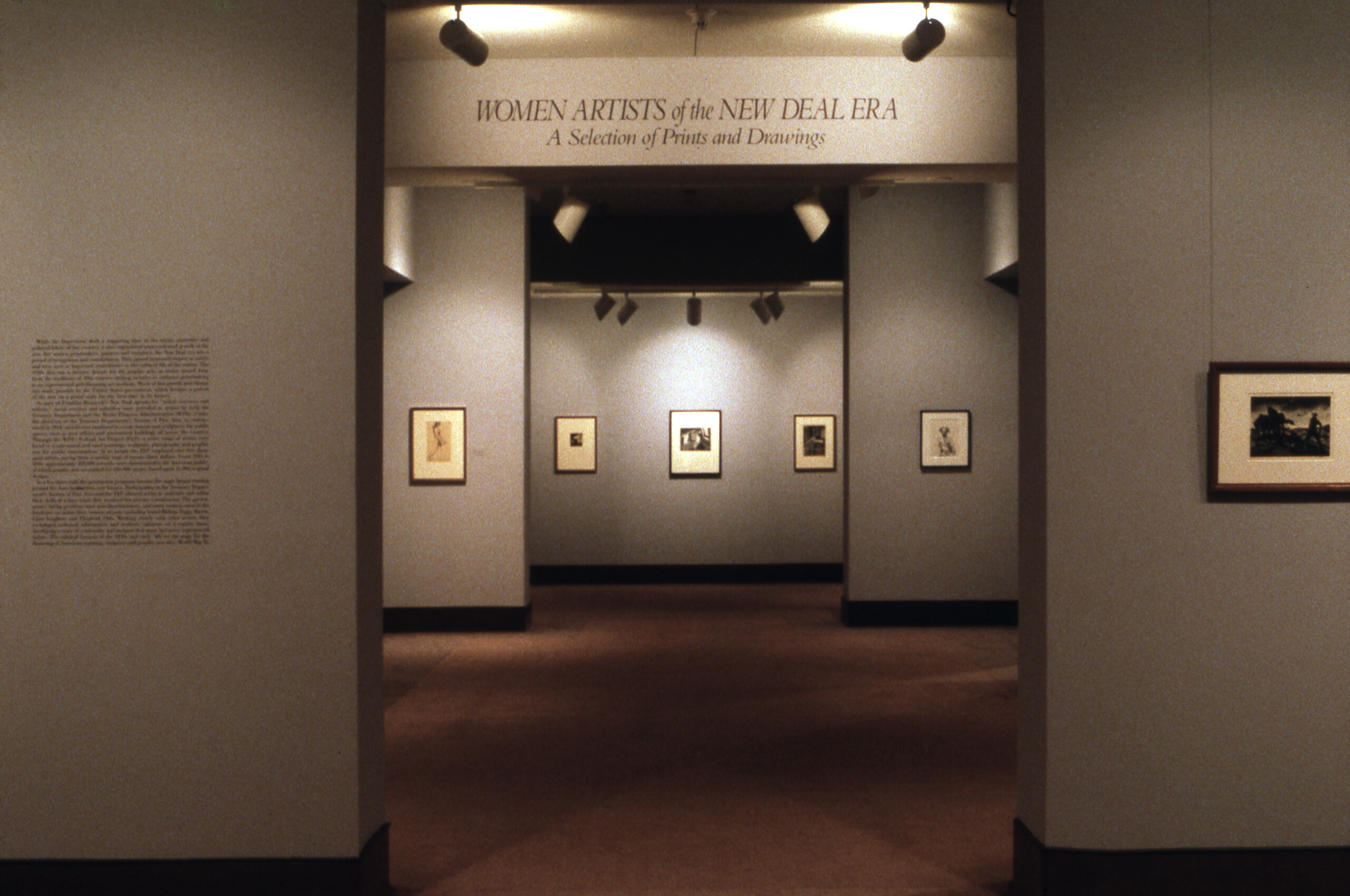 Women Artists of the New Deal Era: A Selection of Prints and Drawings ...